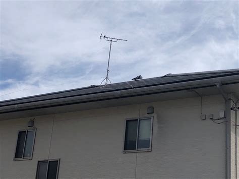 hatoyoke jp column e6 96 bd e5 b7 a5 e5 89 8d