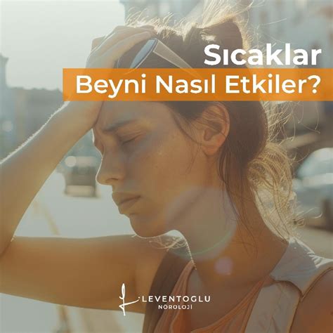 Alevleventoglu Profdralevleventoglu Güneş Sıcakhavavesağlık