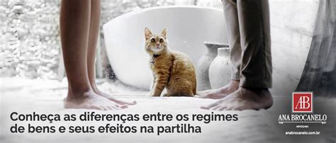 Conheça as diferenças entre os regimes de bens e seus efeitos na