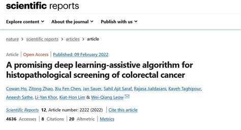 A Promising Deep Learning Assistive Algorithm For Histopathological