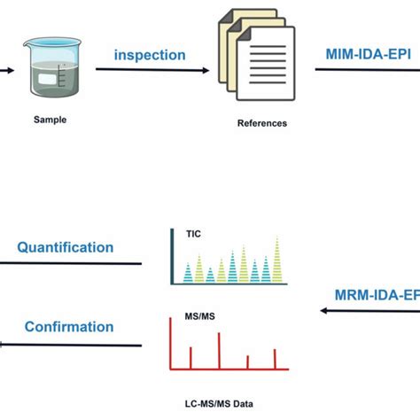 Workflow Based On Integrated Strategy Of Hplc Q Trap Ms Ms For