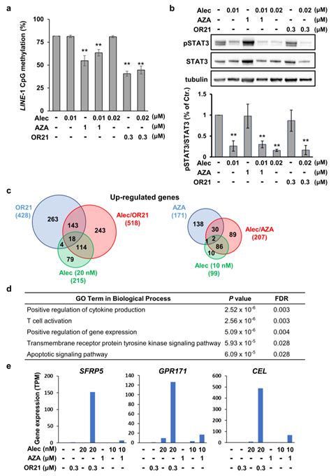 A Combination Of Alectinib And Dna Demethylating Agents Synergistically