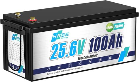 Amazon Hrbeenergy 24v 100ah Lifepo4 電池 2560wh のリチウム電池、安定した Bms は、特に