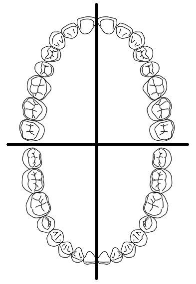 Palmer Notation Method Quiz