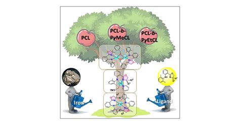 Anilido Oxazoline Ligated Iron Alkoxide Complexes For Living Ring Opening Polymerization Of