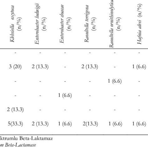 Esbl Positive Enterobacterales Strains Isolated From Vegetables