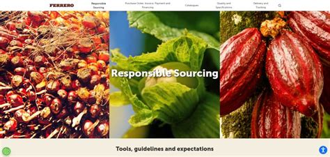 Ferrero Procurement Riskmanagement Responsiblesourcing