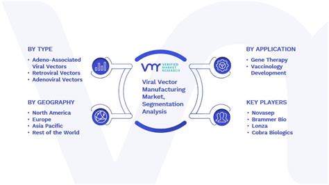Viral Vector Manufacturing Market Size Share Opportunities And Forecast