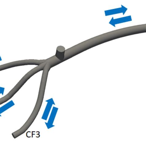 3d View Of The Geometry Of The Trifurcation The Arrows Indicate The Download Scientific
