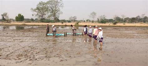 နတ်မောက်မြို့နယ်၌ ခေတ်မီမျိုးစေ့ချကိရိယာ Seeder ဖြင့် နွေစပါးစိုက်ပျိုး Myanmarnationalpost