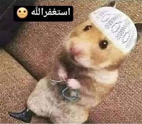 Pin Von احمد Auf بنات مدرسة In 2025