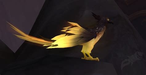 Lava Hatchling Npc World Of Warcraft