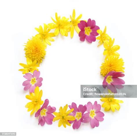갓 딴 노란색과 분홍색 꽃으로 만든 문자 O 번호 0 0에 대한 스톡 사진 및 기타 이미지 0 0명 5 Istock