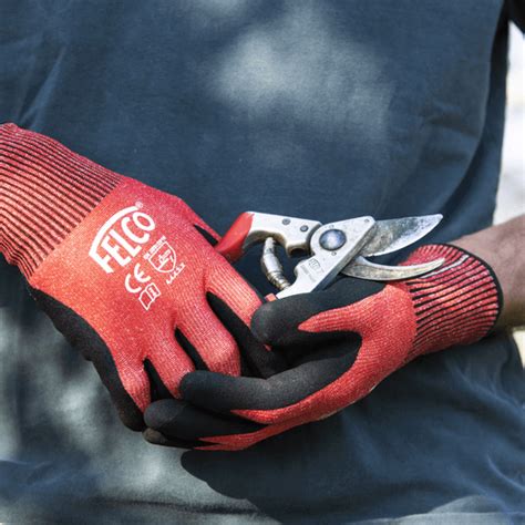 Cutting And Pruning Urban Grow Uk Ltd