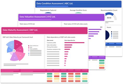 Data Asset Management Anmut
