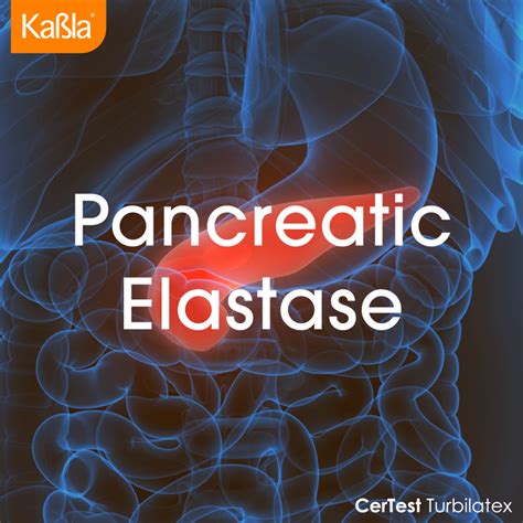 Pancreatic Elastase Certest Turbilatex Kabla Diagnósticos
