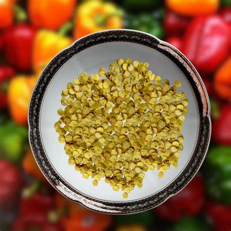 Natural Green F1 Hybrid Capsicum Seeds Packaging Type Packet At Best