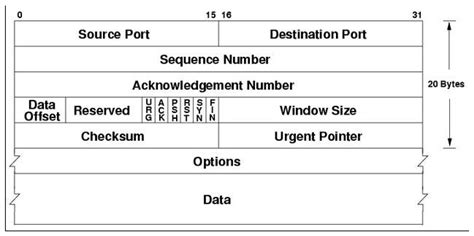 Explainable Ai Based Ddos Attack Identification Method For Iot Networks