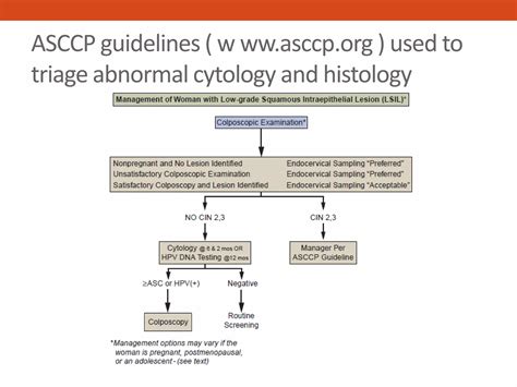 Cervical Precancerous Lesions And Cervical Cancer Pdf
