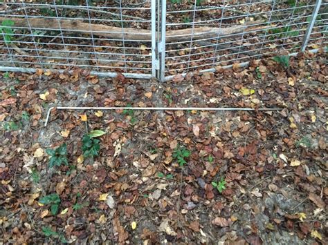 Trapping Systems Hog Cutters Trapping Co