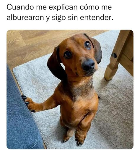 Cada día que pasa me identifico más con Leonardo Dicaprio Memes