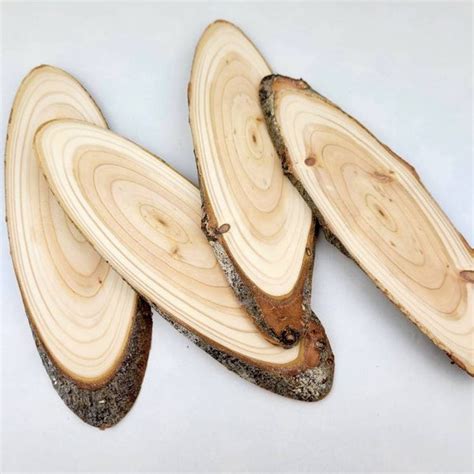 Wood Slices Etsy