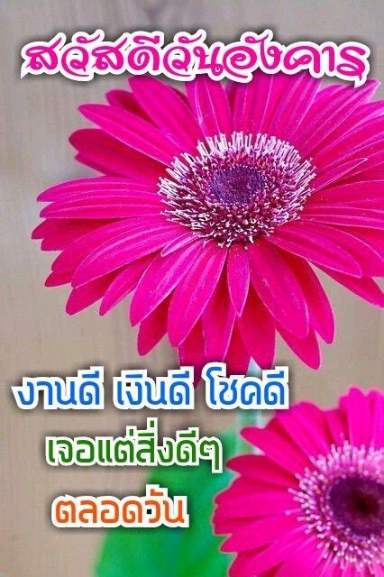 ปักพินโดย Varu Jung ใน วันอังคาร อรุณสวัสดิ์ วันอังคาร