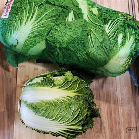 김장배추 절이는방법 절이는시간 집에서 배추절이기 네이버 블로그