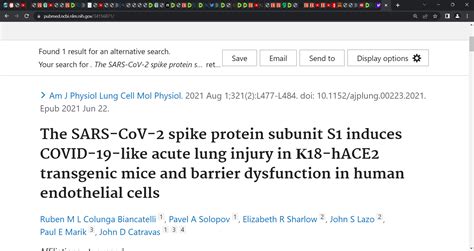 Biancatelli Et Al The Sars Cov 2 Spike Protein Subunit S1 Induces