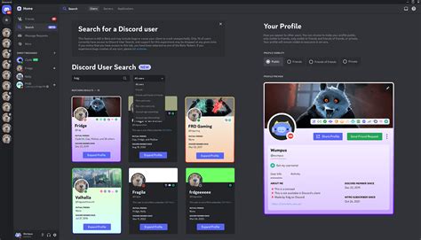 Discord User Search Tab On Behance