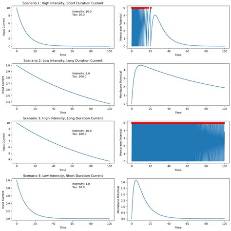 Integrate And Fire Model A Simple Neuronal Model Fabrizio Musacchio