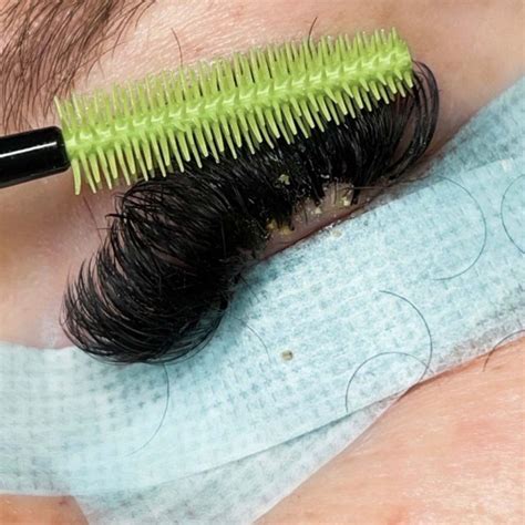 Can You Get Lash Mites On Lash Extensions What To Do
