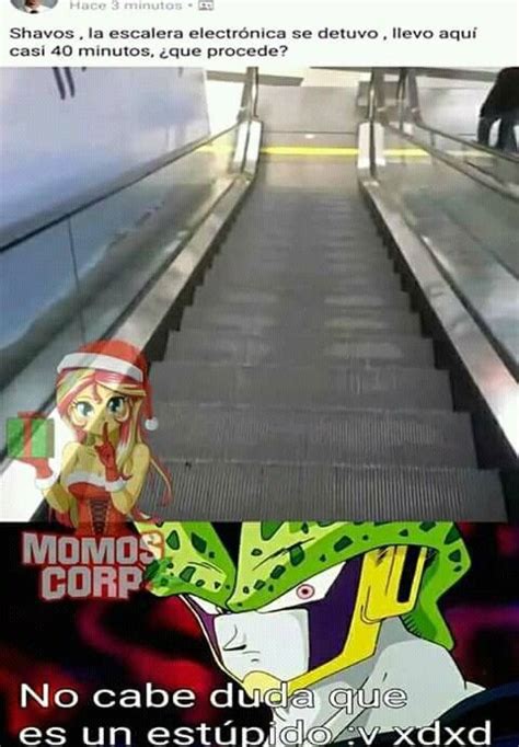 Ese compa ya está muerto nomas no le han avisado v Memes Amino Español Amino