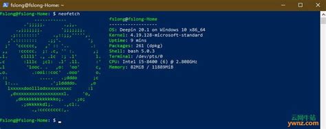 Win10调用wsl2的linux程序在win 10的wsl2子系统上安装配置deepin，附运行gui程序方法 Csdn博客