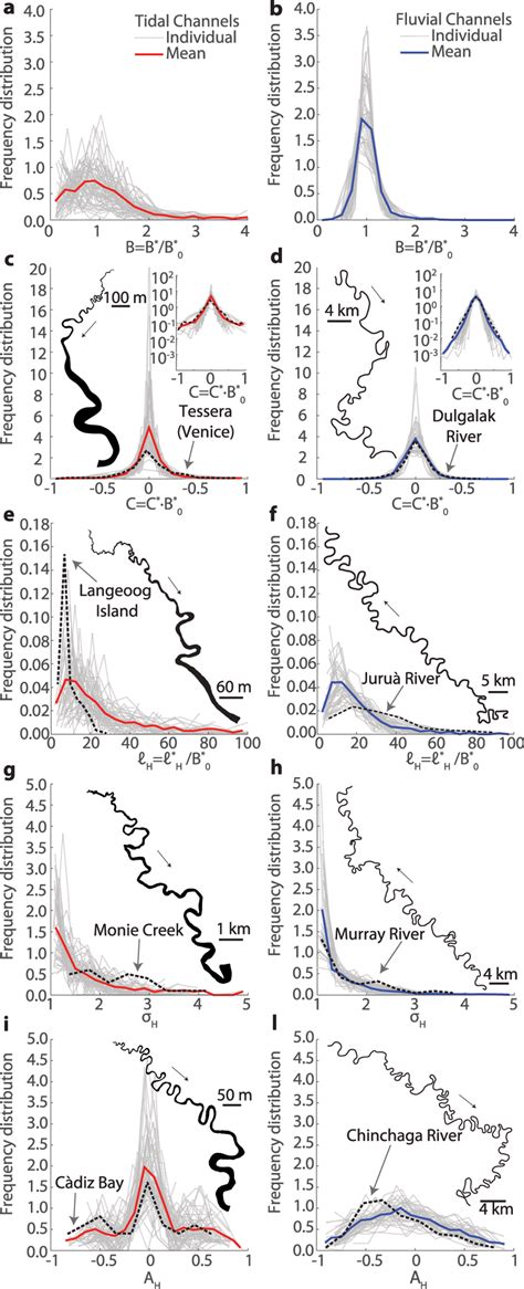 Frequency Distributions Of Some Of The Normalized Morphometric Download Scientific Diagram