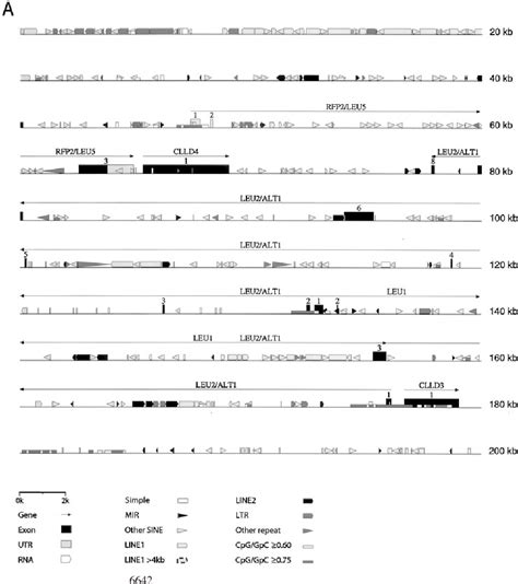 Table 1 From Characterization Of The 13 Q 14 Tumor Suppressor Locus In