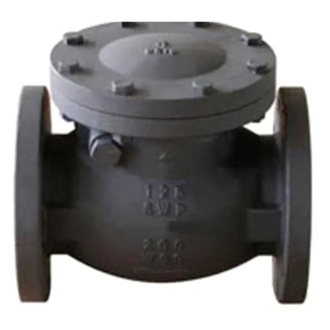 Cs Ci Sant Swing Check Valve At 5890 00 Inr In Delhi Sonu Valves Private Limited