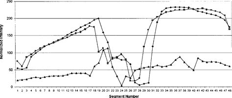 Figure 1 From Computer Vision Detection System For Network Model