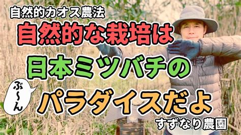 【日本ミツバチ】分蜂直前の九州北部で日本ミツバチの巣箱の設置をしました！自然的な農法は日本ミツバチにとってもパラダイスとなるでしょう！！だから
