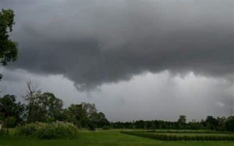 Maharashtra Unseasonal Rain Updates Unseasonal Ravages Across The State