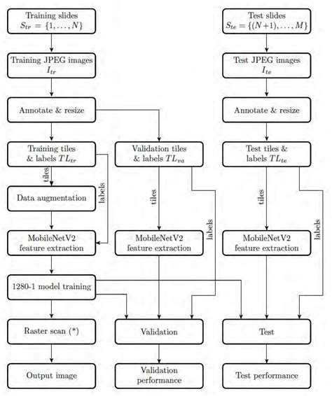 Data Augmentation And Feature Extraction From The N Slide Dataset