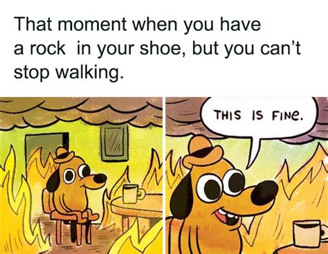 This Is Fine” Meme The Relatable Hound That Stuck With Us For Good