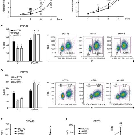 Ck1δ Knockdown Sensitizes Human Ovarian Cancer Cells To Cpt Treatment