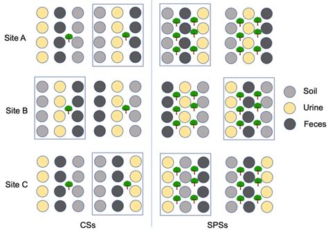 Distribution Of Chambers In Each Experimental Plot Css Conventional