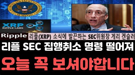 리플전망 리플 모두의 예상과는 다르게 등장한 공시내용에 Xrp가격 무려 10배까지 오늘 영상은 꼭 보셔야합니다 리플전망 리플호재 리플급등 리플코인 리플소송