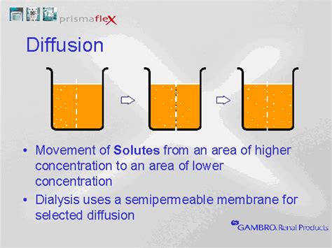 Hemodialysis Diffusion