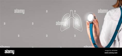 Lungs Health Pulmonology Medical Checkup Concept Pulmonary Diseases
