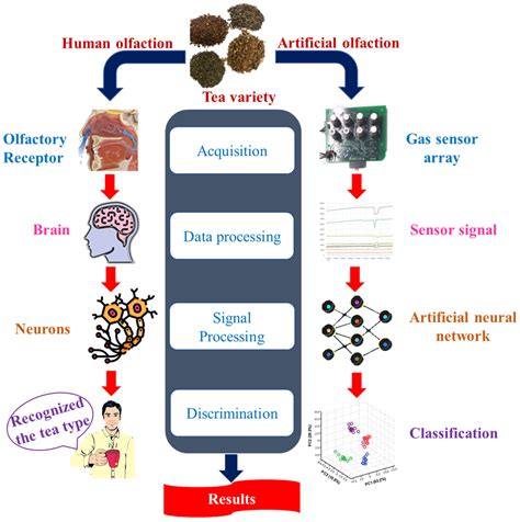 Applications Of E Nose In Tea Quality Evaluation Encyclopedia Mdpi