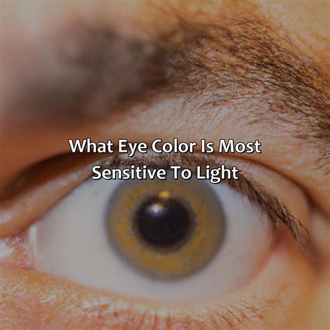 What Eye Color Is Most Sensitive To Light Colorscombo