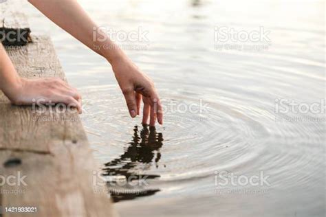 여름 저녁에 오래된 목조 다리에서 강가의 물 표면에 닿는 여성의 손은 닫고 선택적으로 초점을 맞 춥니 다 강에 대한 스톡 사진
